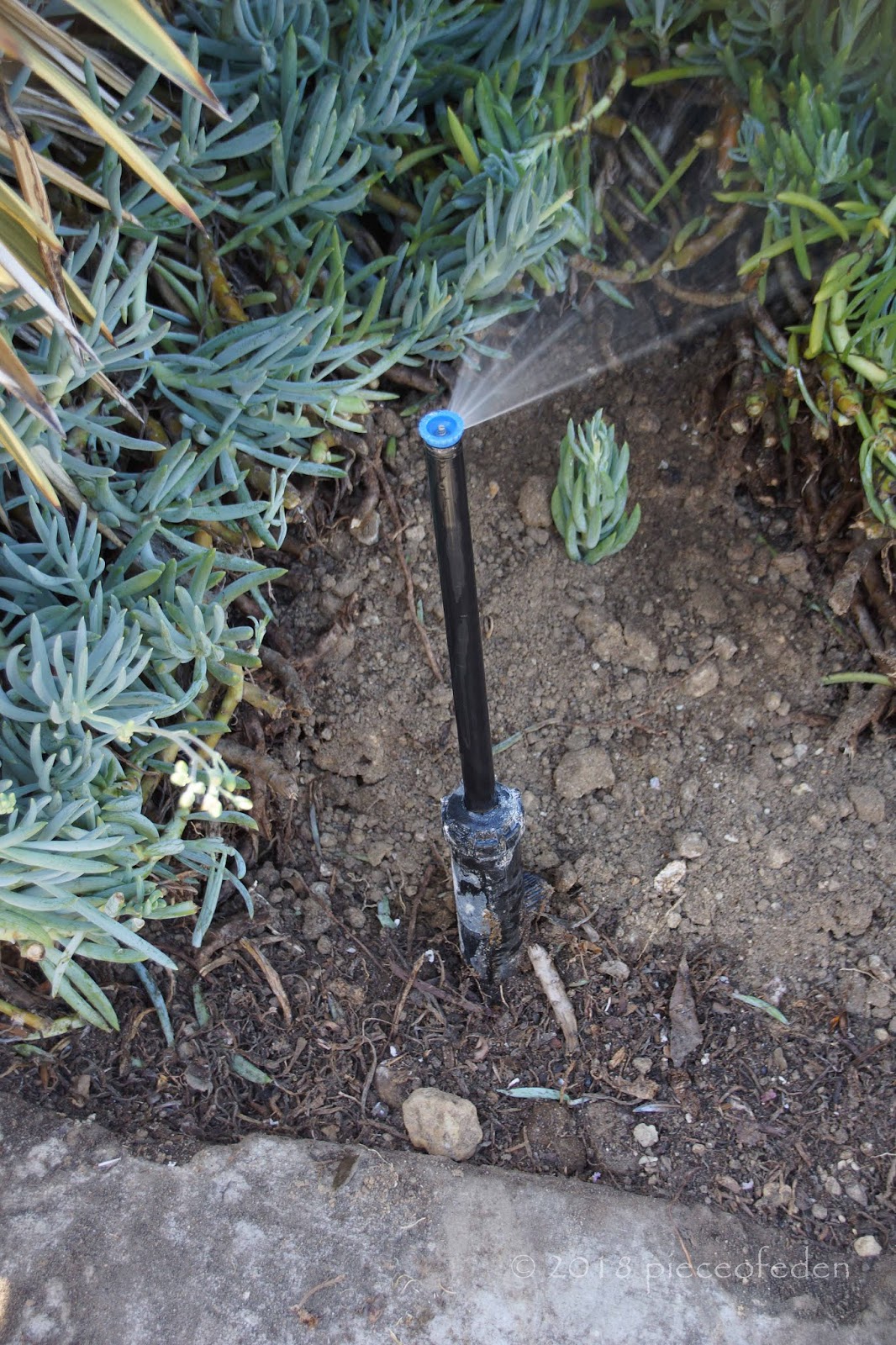 Sprinklmate Sprinkler Shield