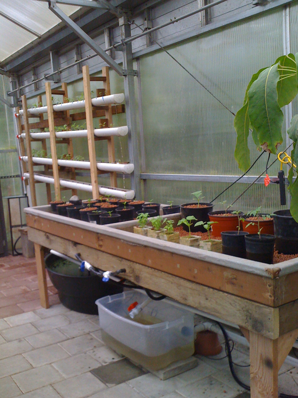 Hydroponics Blog: Healthier Food: Aquaponic NFT & Ebb and Flow System Plan
