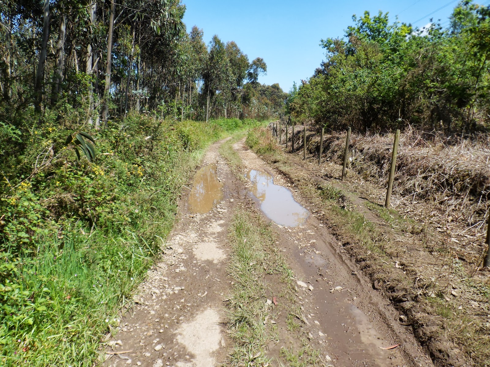 Senda BTT: Apeadero FEVE de Avilés - Embalse de Trasona - Monte'l Pando ...