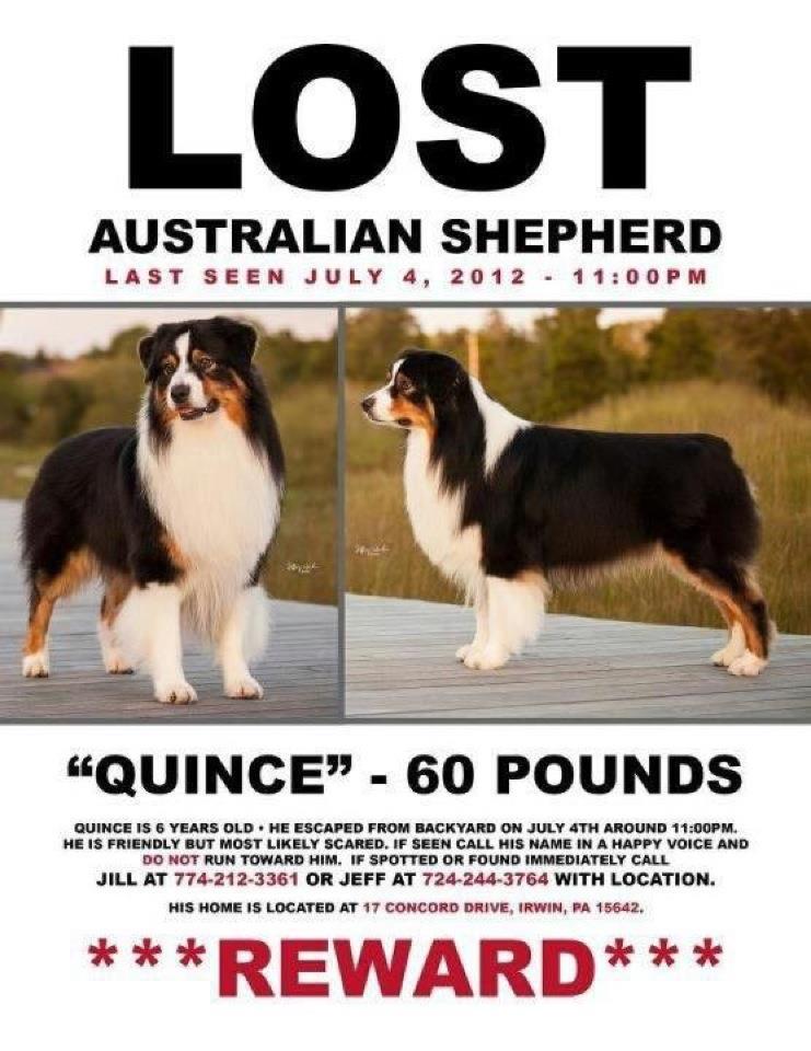 The love of Kate's life...Schmoopy