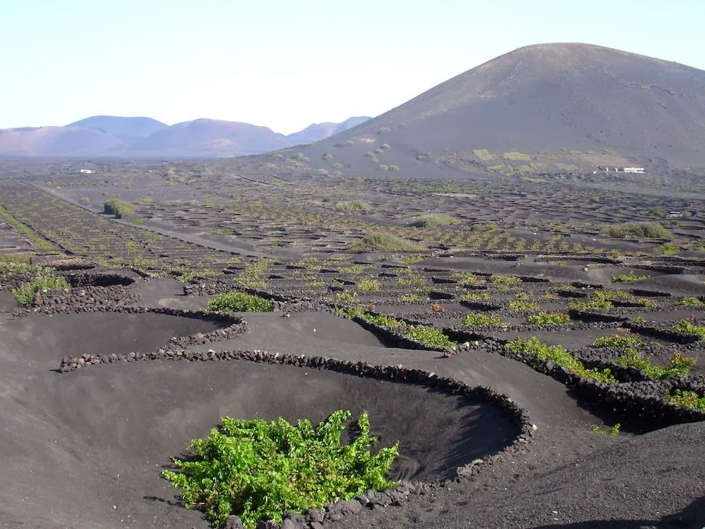 La Geria: Lanzarote’s Volcanic Vineyards ~ Kuriositas