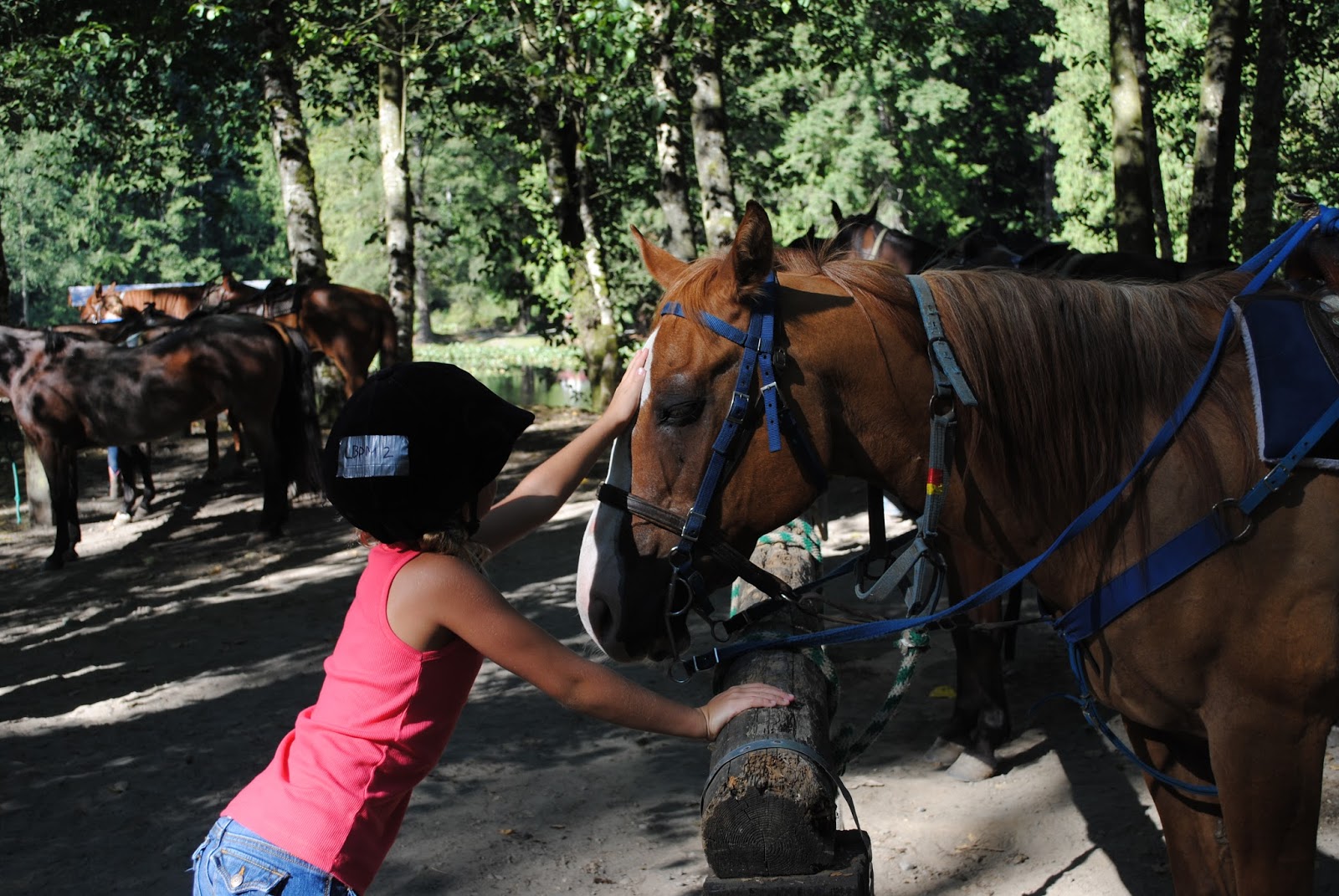 Kelsey & Rylee: Langs Horse and Pony Farm