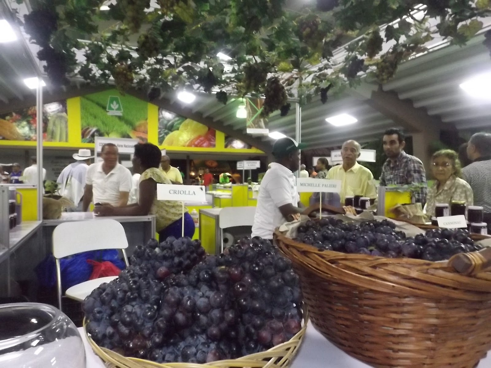 NeybaCity: Uva del Valle de Neiba, atractivo importante en Feria ...