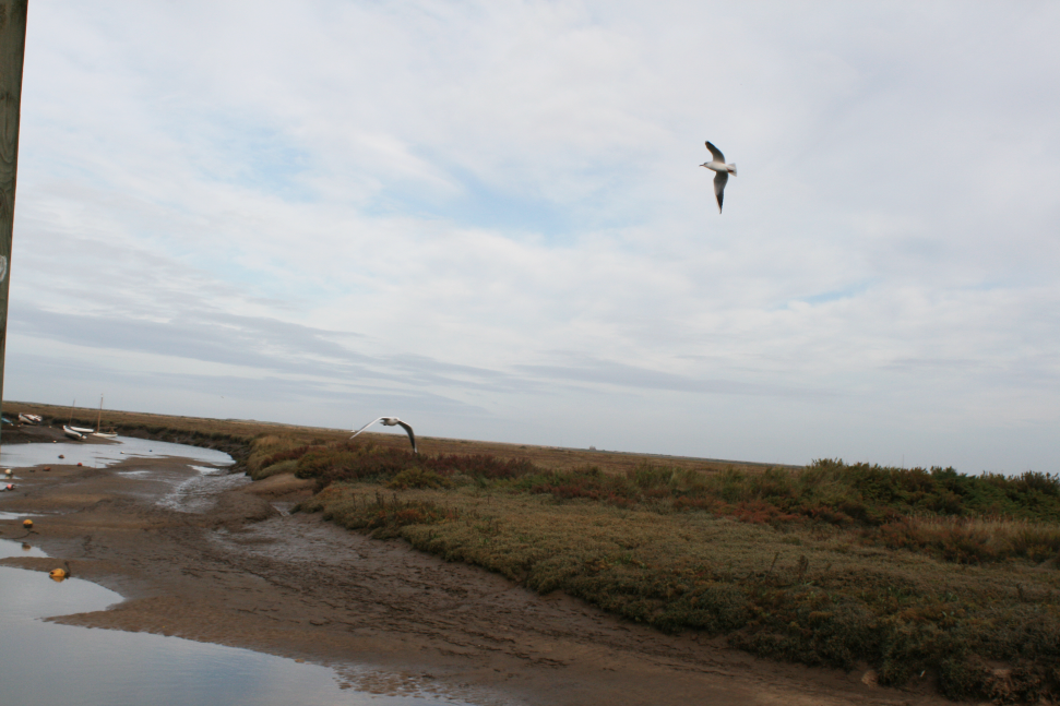 George Docking A2 Photo Component 1