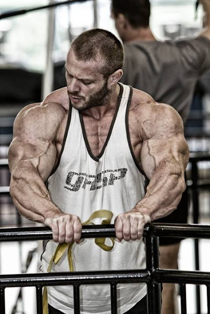 Worldwide Bodybuilders: Slovakian muscle hero Stefan Havlik