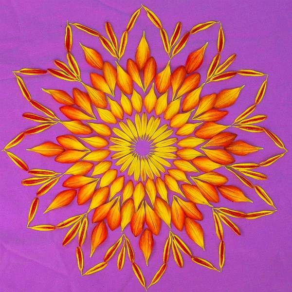 Коллекция картинок: Цветочные мандалы by Kathy Klein