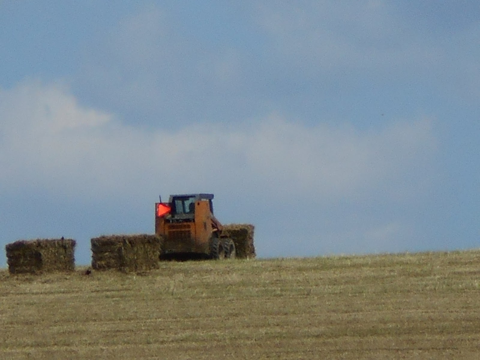 New York State of Mind: MENNONITE FARMER MOVING HAY