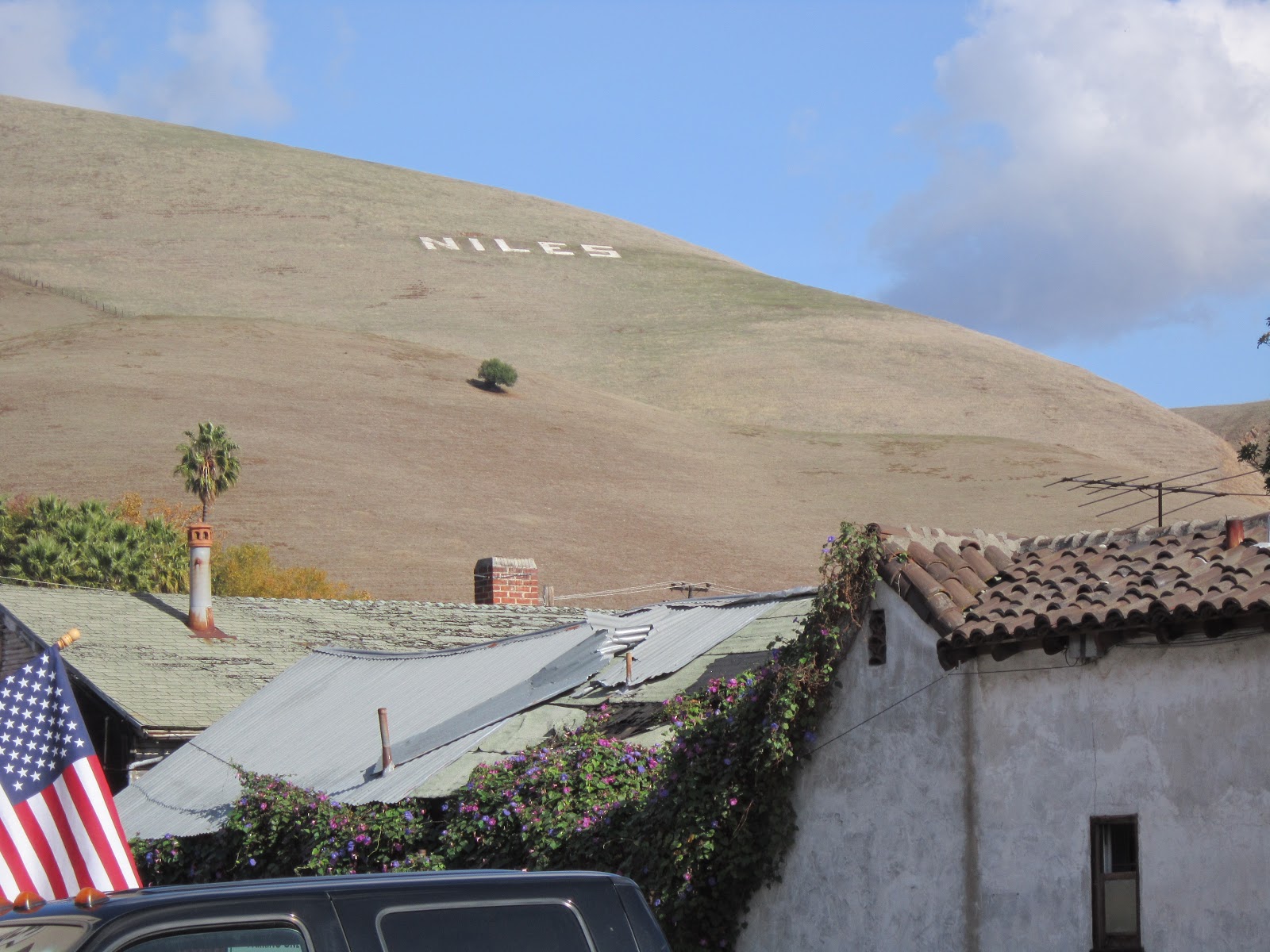 Toni's Vintage Trips: Vintage Clothing Treasures in Niles, CA