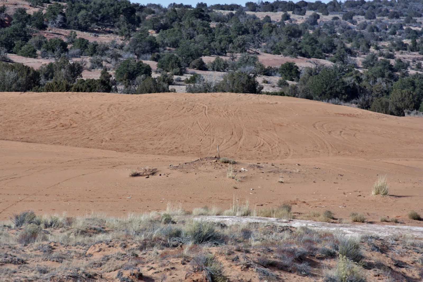 The Southwest Through Wide Brown Eyes: The Lone Rock Road Behind the ...