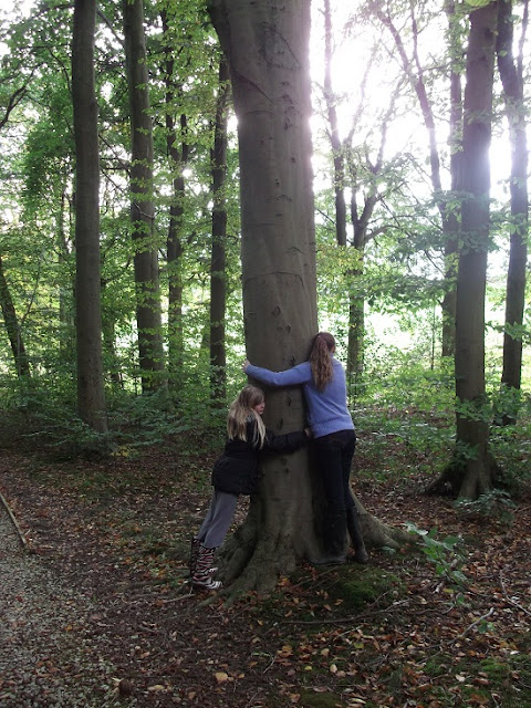 Outdoor Hour Challenge Blog Carnival-October Tree Edition - Homeschool ...