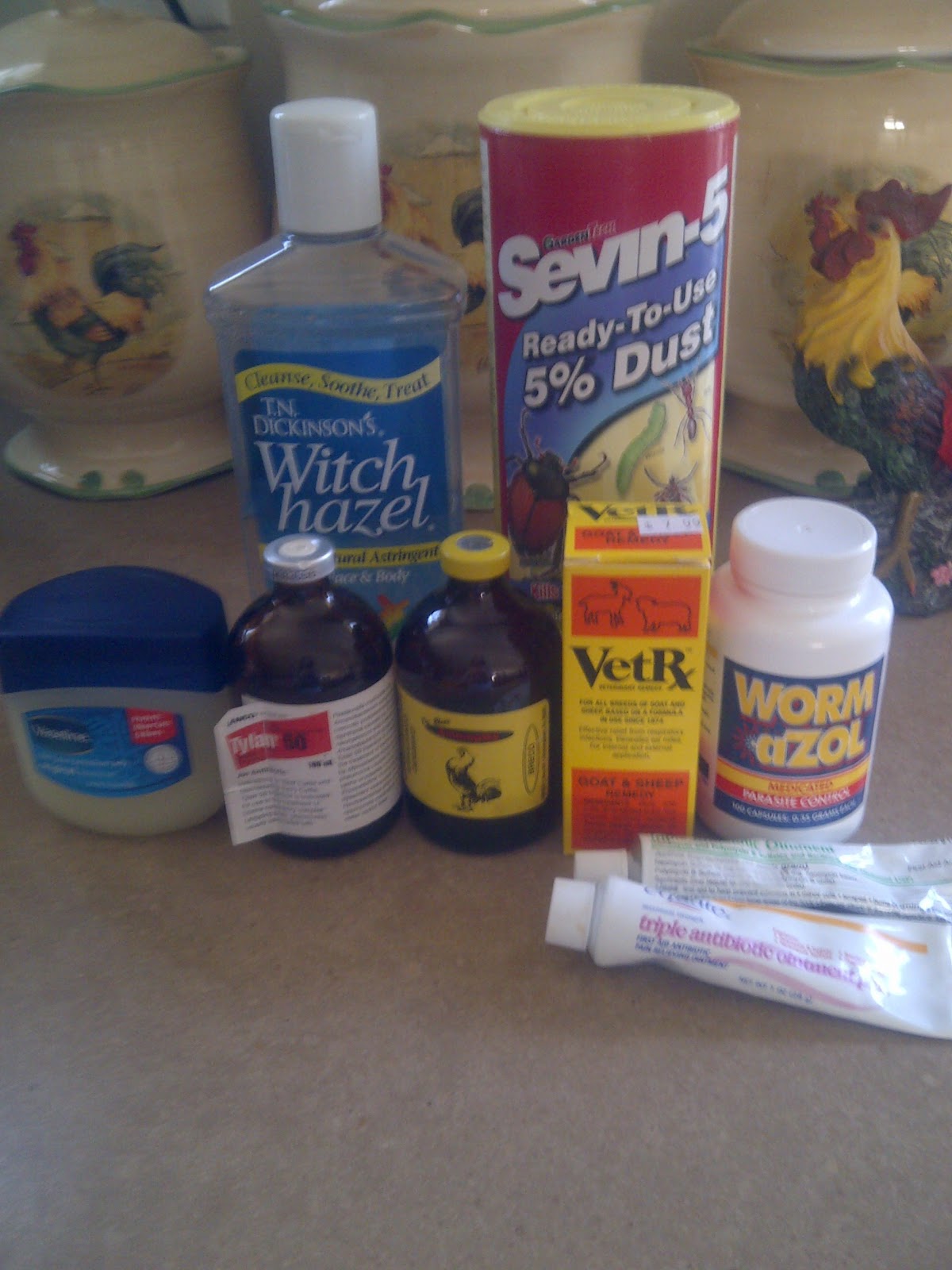 Keeping Chickens: Basic Poultry Medicine and Maintenance