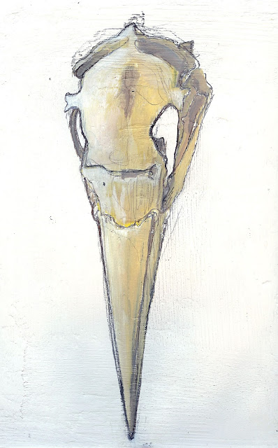 Sarah McCartney: bird skulls ... a misidentification, a few new ones ...