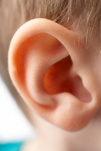 The Biologian: The Human Scrapbook