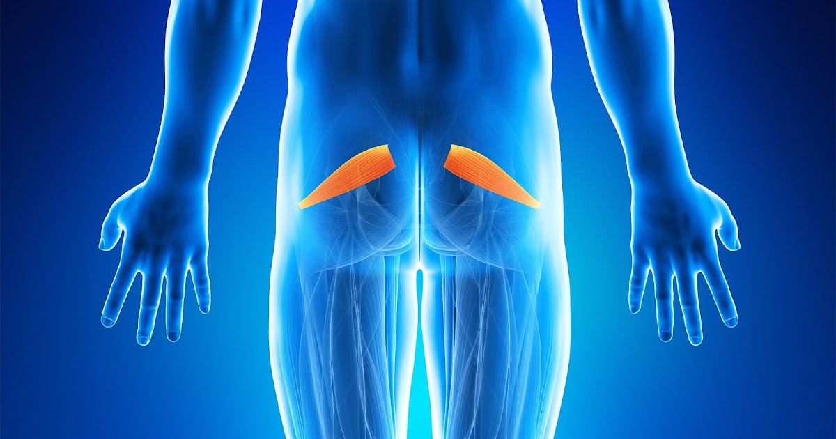Assessment and Treatment of Piriformis