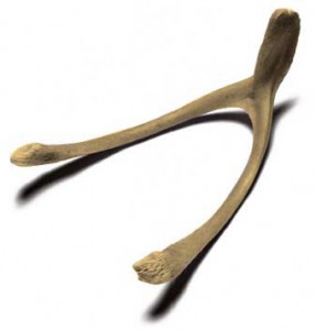 Expressly Lesley: Time to stop wearing my wishbone where my backbone ...