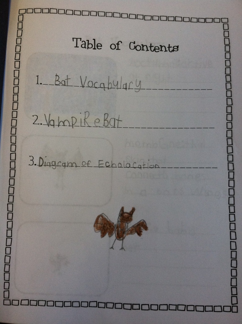 Life in First: Bats and Turkeys