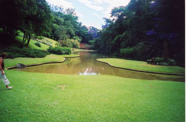 Jeffrey Bale's World of Gardens: The Gardens of Roberto Burle Marx