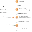 Biology Blogs For Class11th, 12th and NEET