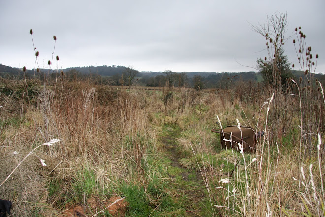 Building Pathfields: Week 6....Scaffolding and Sole Plates