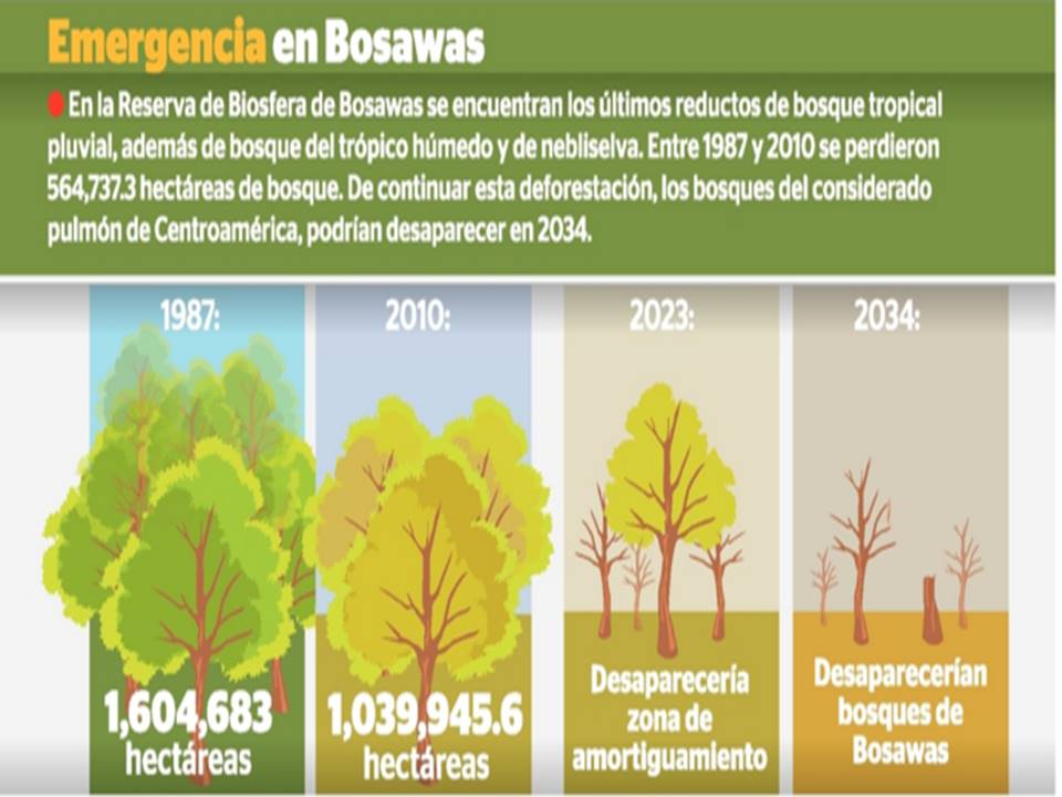 Centroamericaverde : BOSAWAS RESERVA DE BIOSFERA