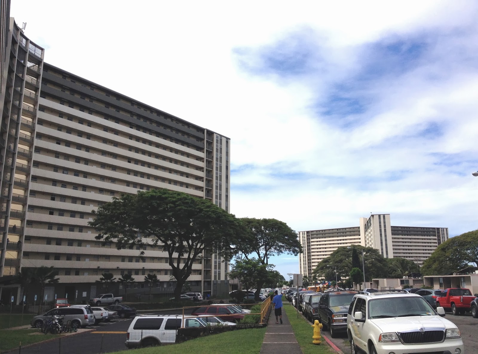 The Walking Hawaiian: February 2014