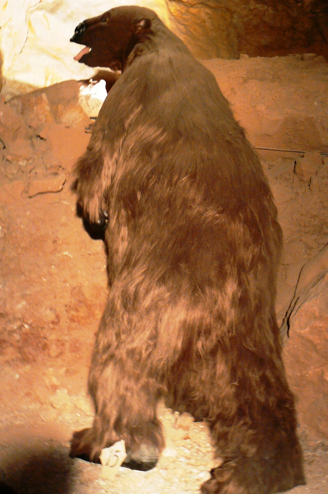 Belgians on the Mother Road: Day 13: Flagstaff to Kingman, AZ