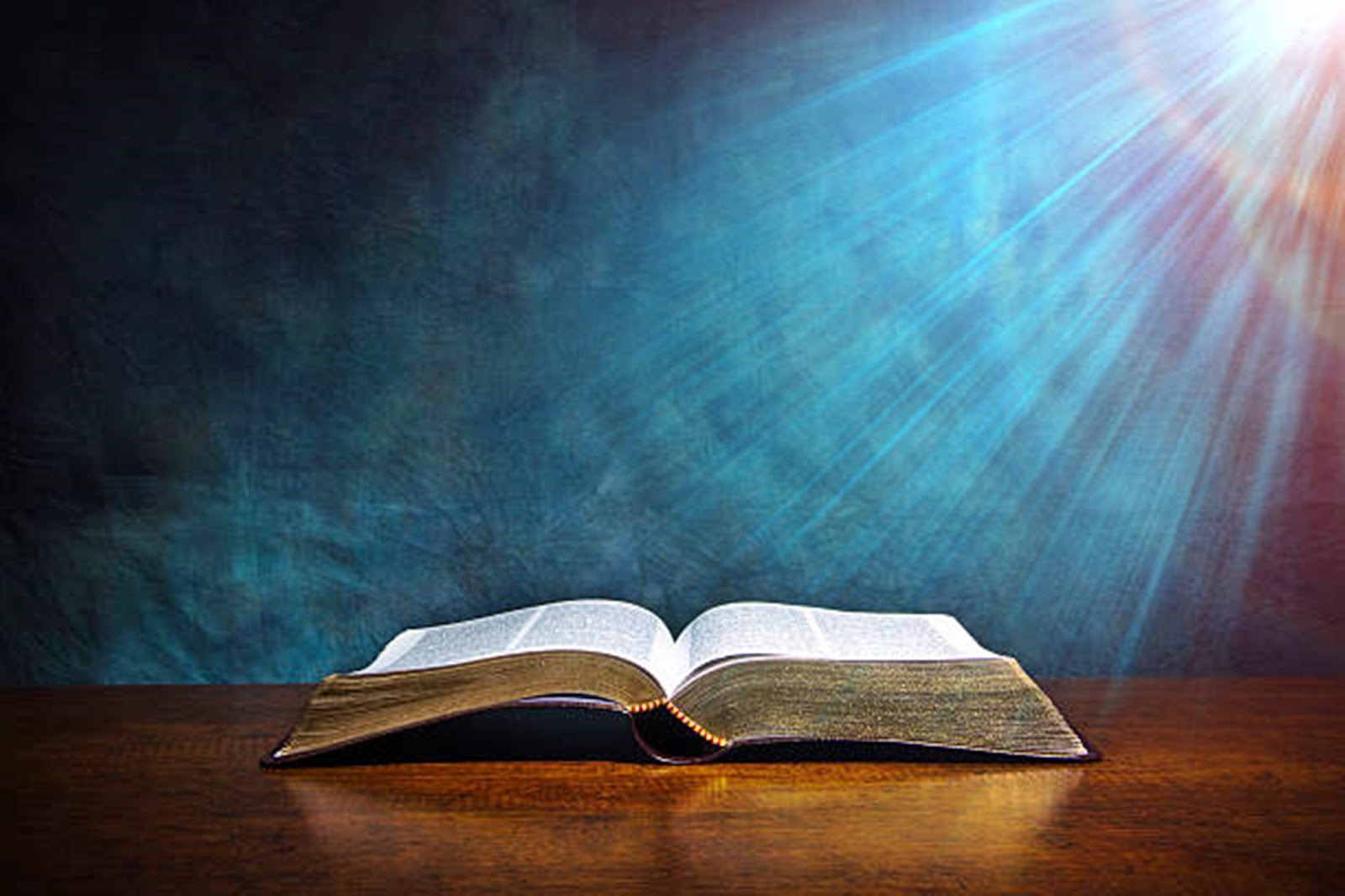 Eliseu Antonio Gomes: 01/12/08