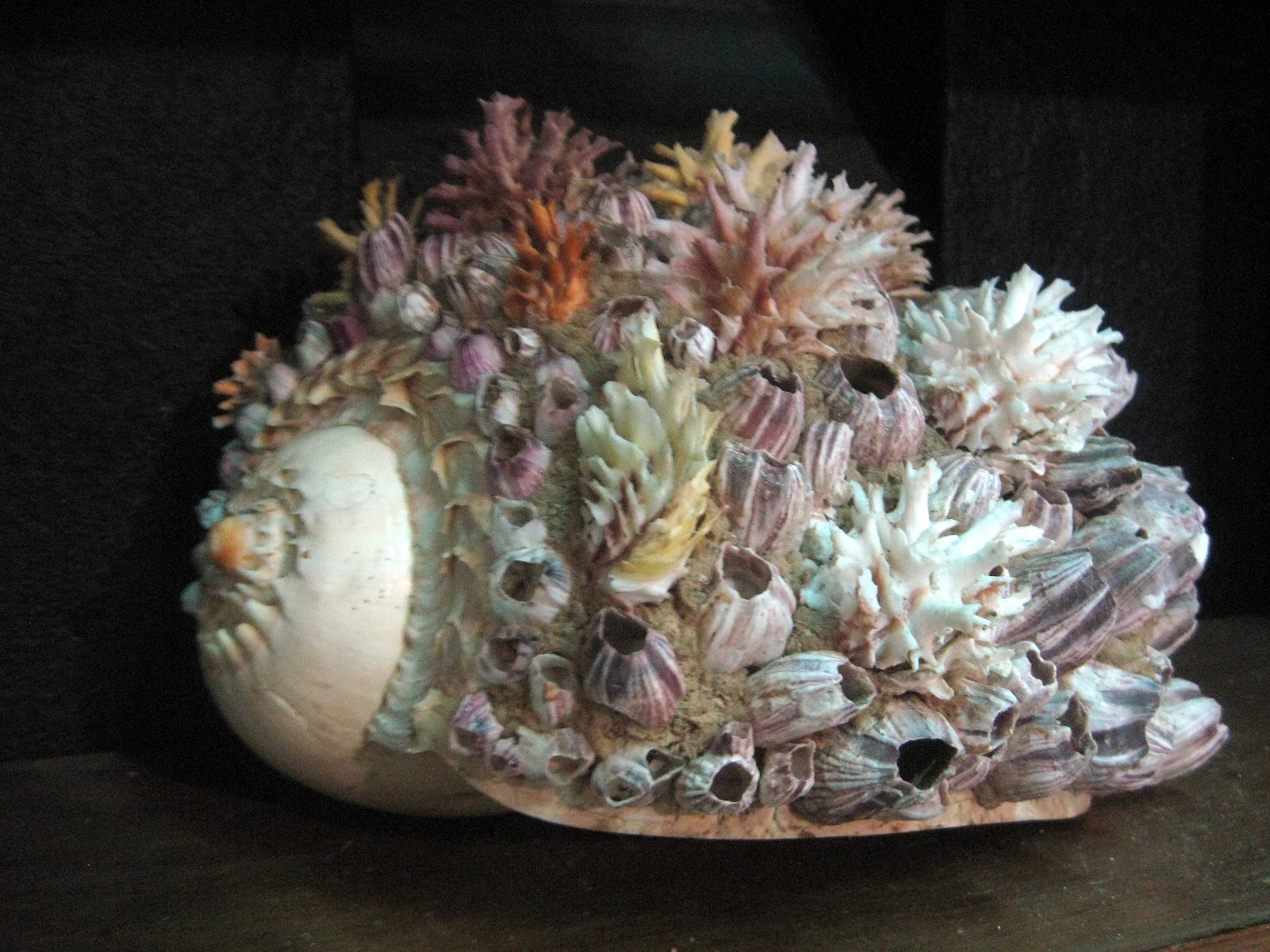 Turning Boholano: The Nova Shell Museum of Bohol