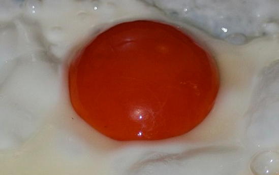 E2=Educational & Entertainment Hub: Weird and Bizarre Eggs: Double-Yolk ...