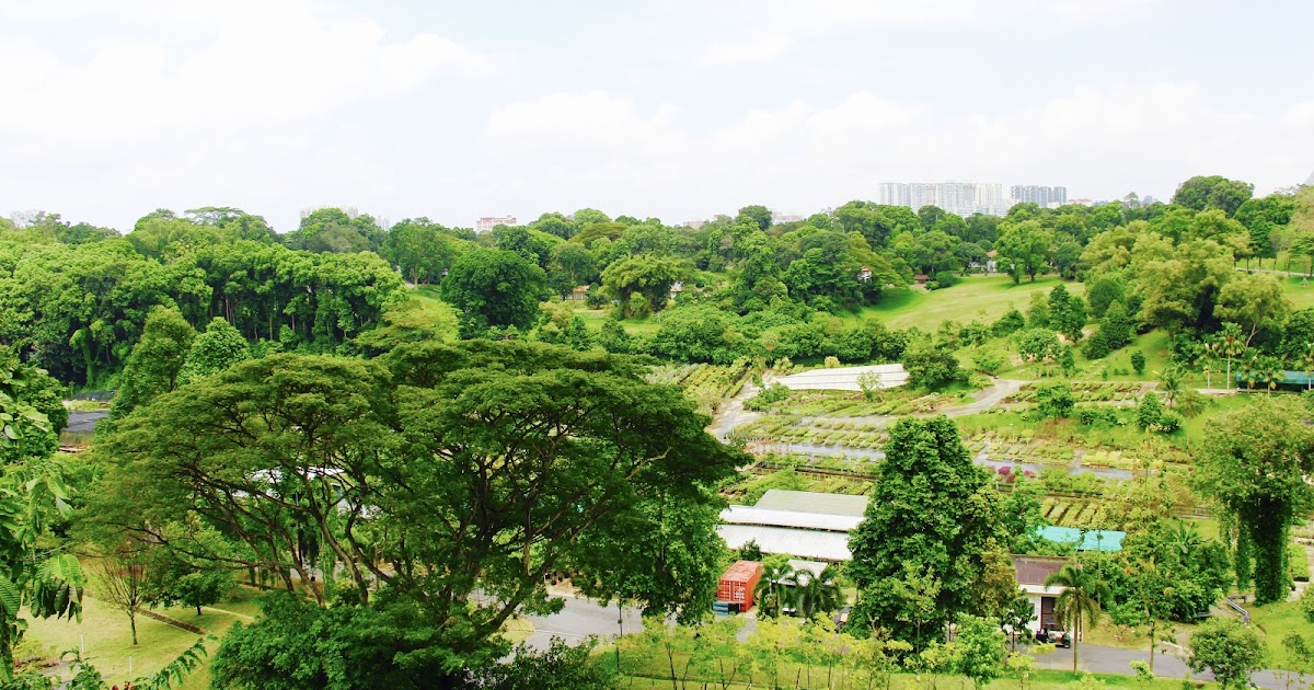 Nina Kennett: Southern Ridges, Singapore