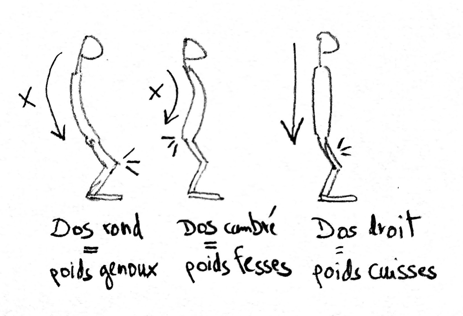 Taichi Surf Tribe: Taichi et posturologie