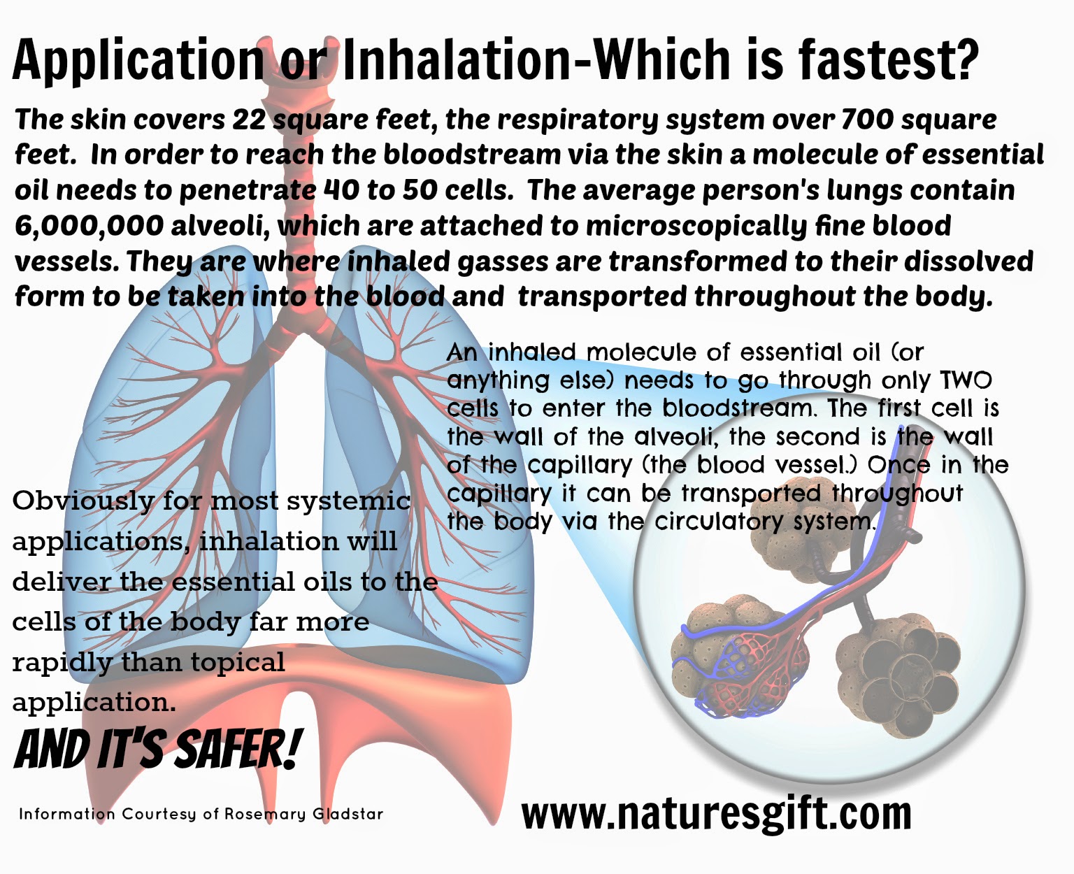 aromatherapy at Nature's Gift: Inhalation vs topical use vs Ingestion