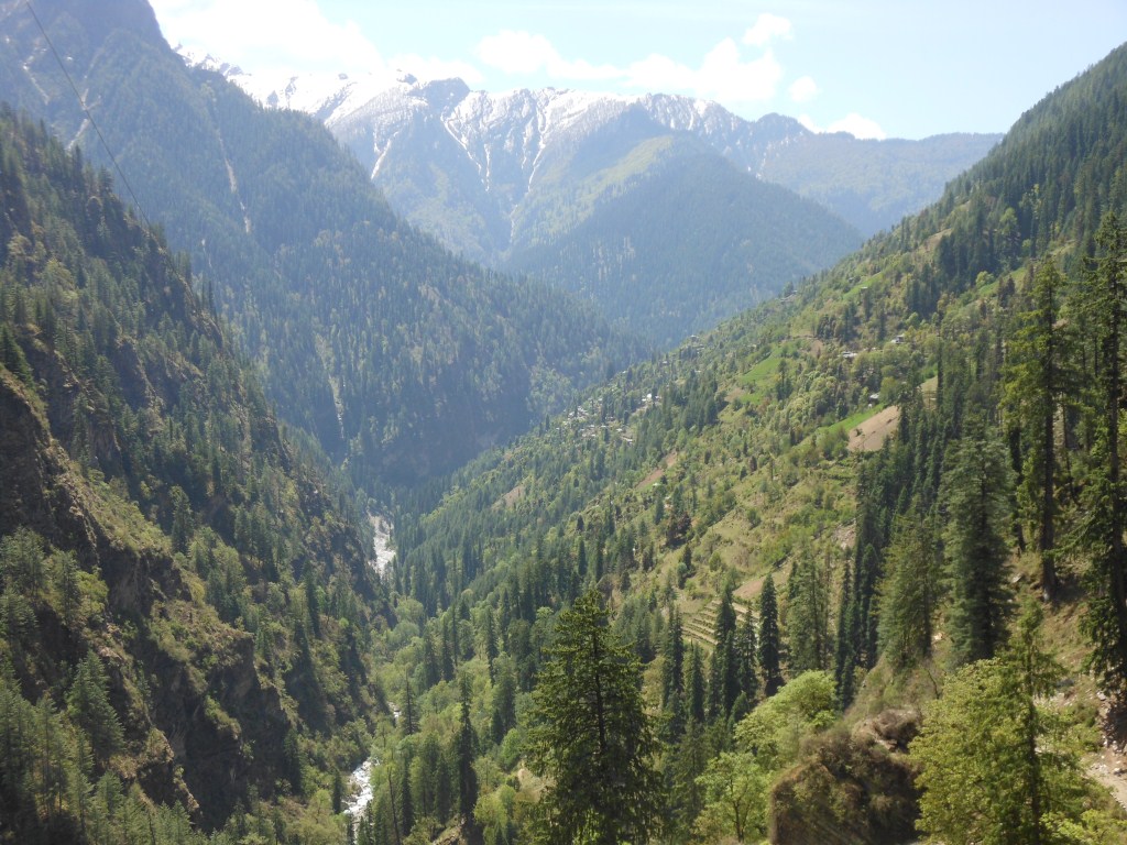 पुष्‍पांजलि: प्रकृति मां