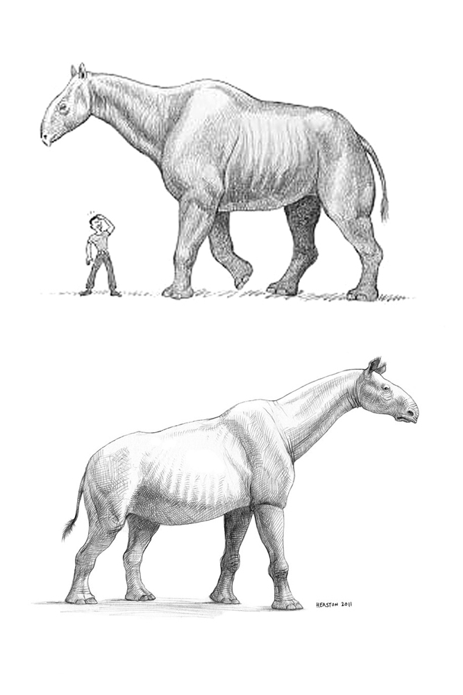 Coloring Paraceratherium Rhinoceros Extinct Prehistoric Mammal Pages ...