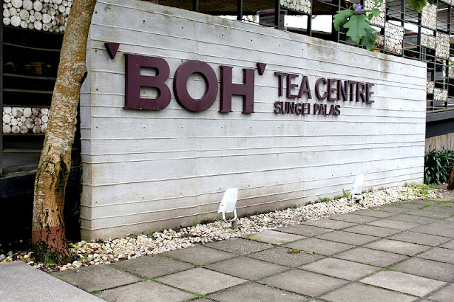Joeanney C.: BOH Tea Centre