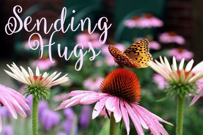 Sending Hugs: Hello Sunshine!