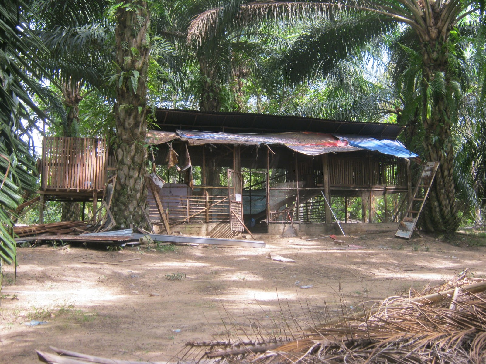 TERATAK DARUSSALAM Agro Farm, Felda Lubuk Merbau, Padang Terap, Kedah ...