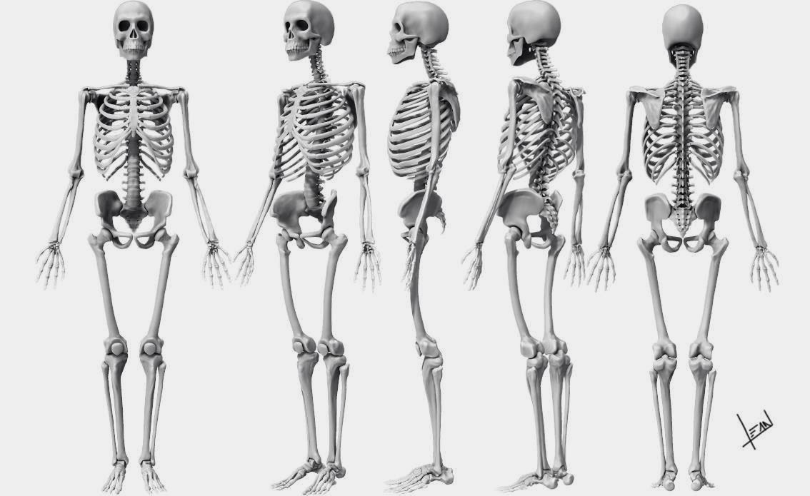 Ms. Coffman's Third Grade: March 2014