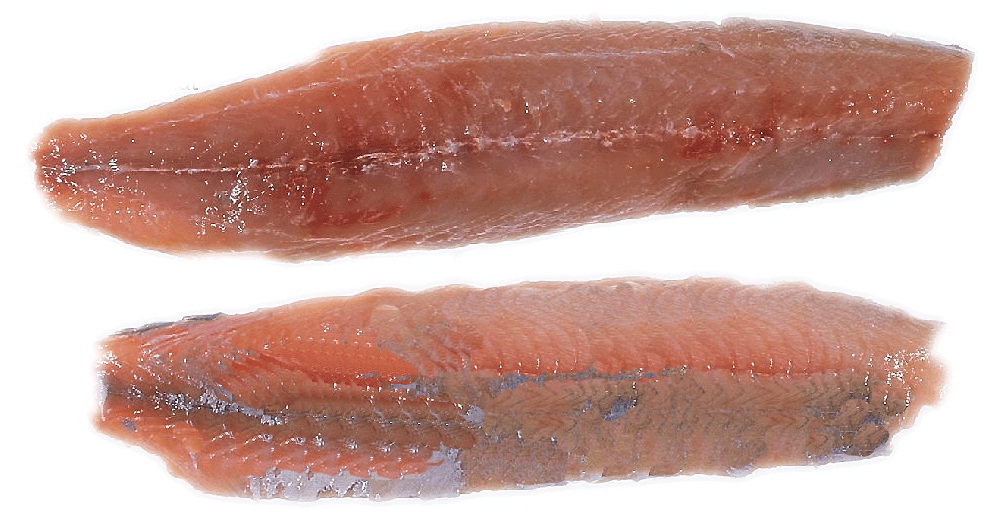Milkfish Supplier, Milkfish Fresh Market, Milkfish Fillet, Bangus Fish ...
