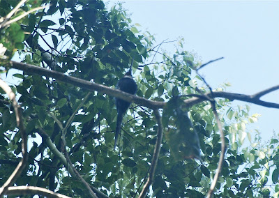 Jan Axel's Blog: March 2012