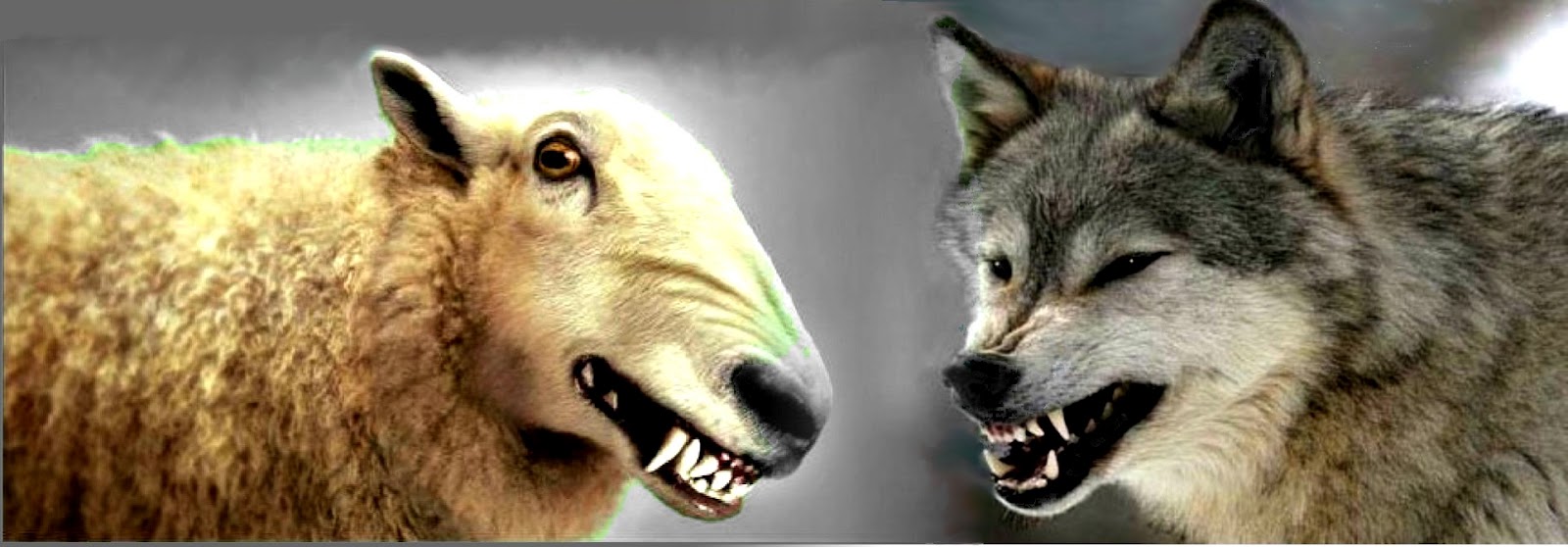 Α Ν Ο Ι Κ Τ Α_ Πε . Δ . Ι . Α² .__: Μαΐου 2012