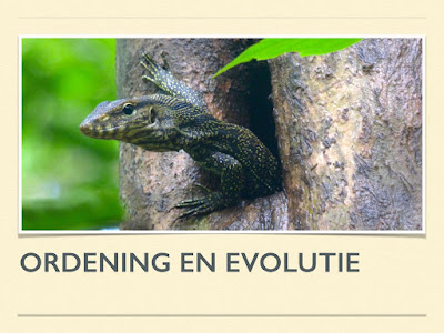 Ordening en Evolutie: Ordening