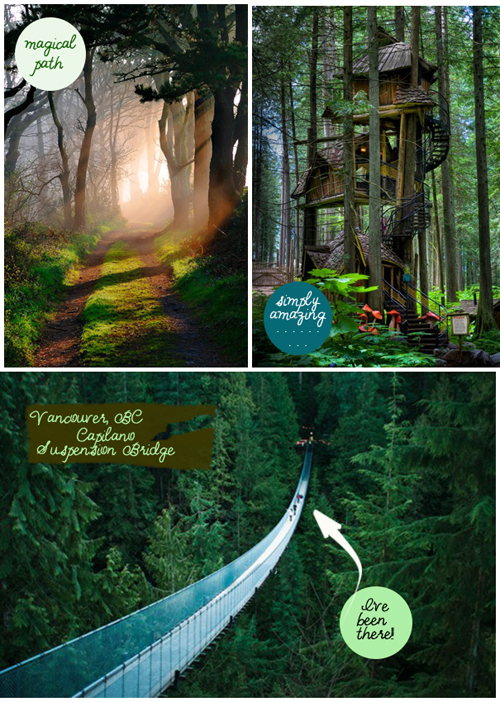 September and Sun: Forest Inspiration