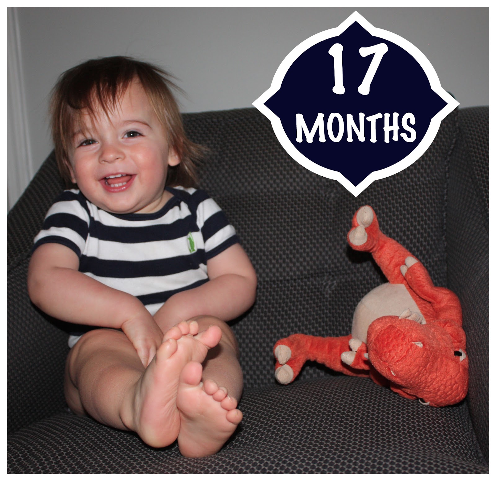 Viva Cindy: 17 Months Old {Mateo's Monthly Photo}