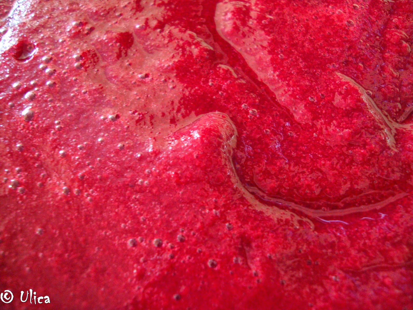 Lumea de dincolo de oglinda: Gem de coarne de padure (Cornus mas ...