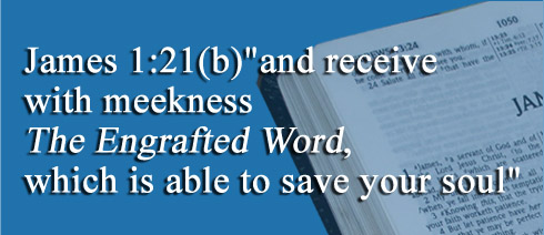 The Engrafted Word: New Sermons Posted
