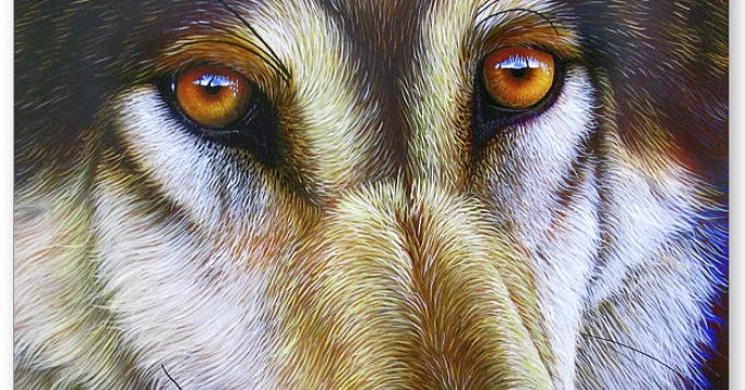 White Wolf : Jurek Zamoyski - Polish Born Wildlife Artist Extraordinaire