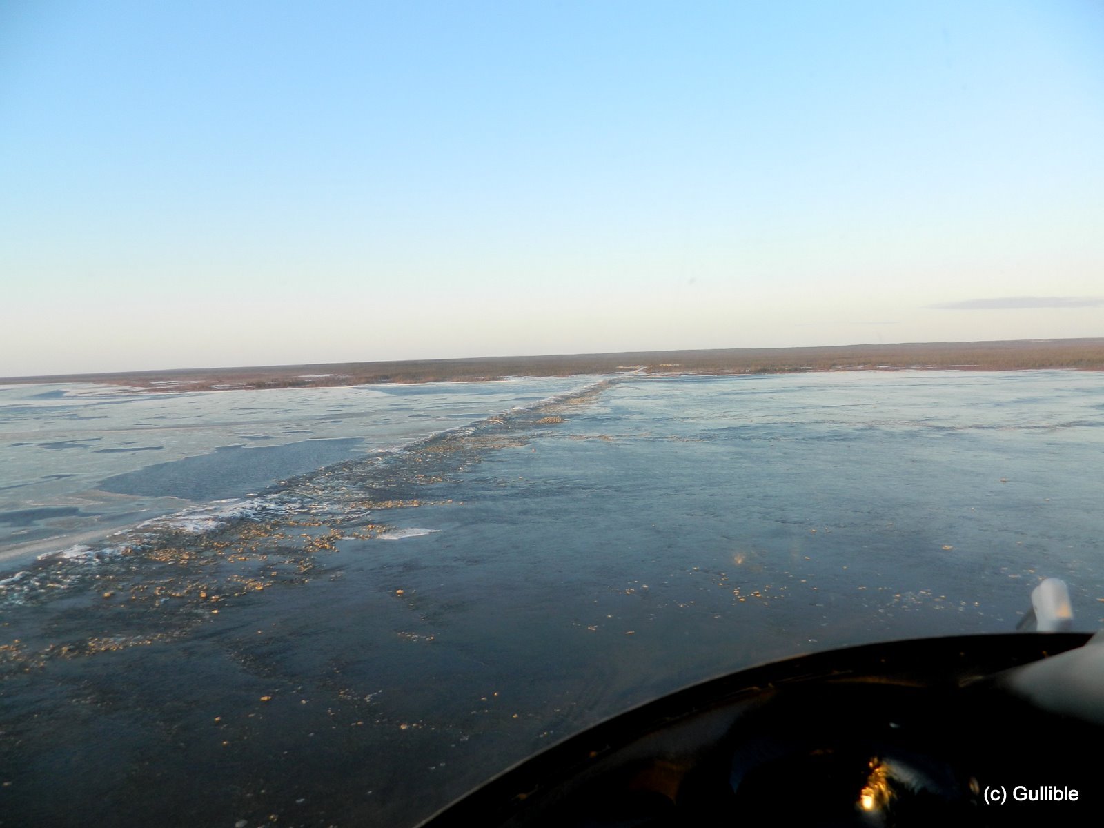 Gullible's Travels: The Polar Bear Journals, Ch. 9, Wherefore art thou ...