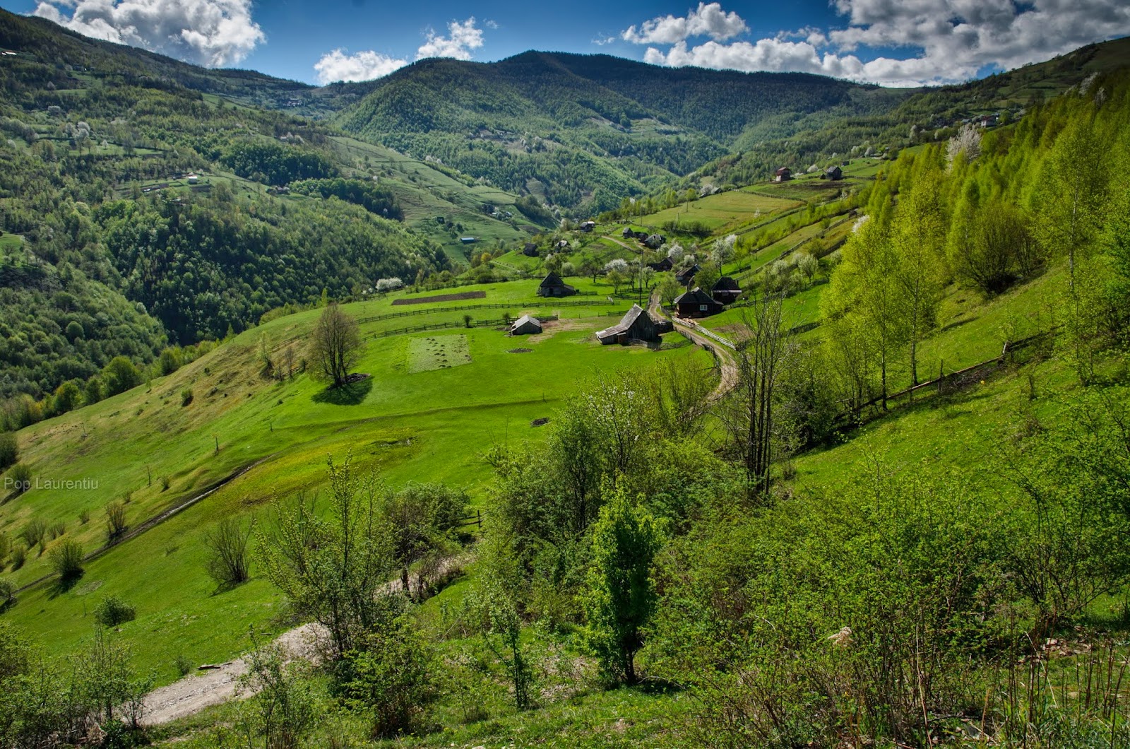 Poze tip pictures: Paltinei, Muntii Gilaului