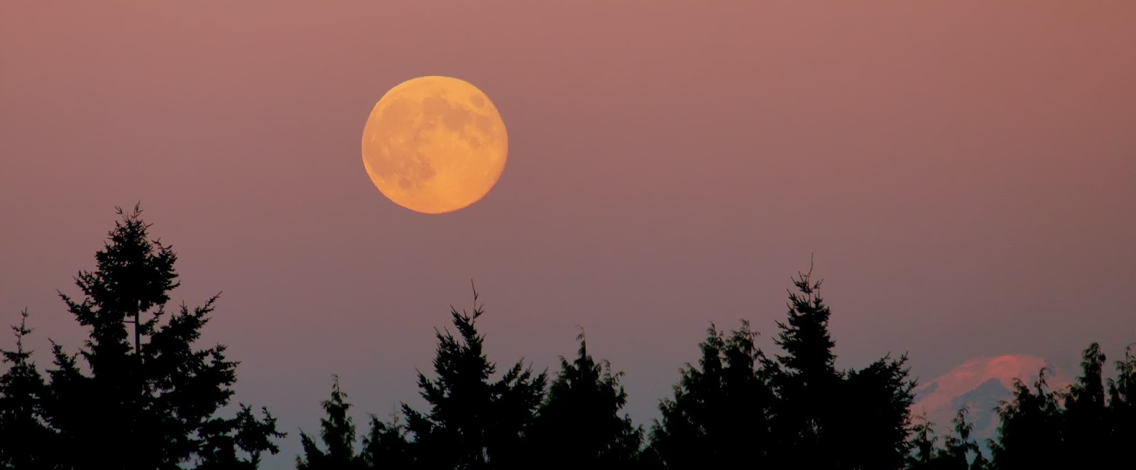 The Murray Chronicles : Full moon over Vancouver ~ July 22